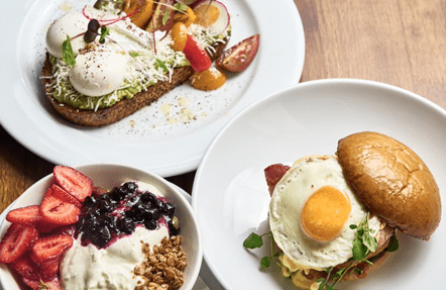 The Rocks Café - Five Decades of Flavour in Sydney's Historic Heart